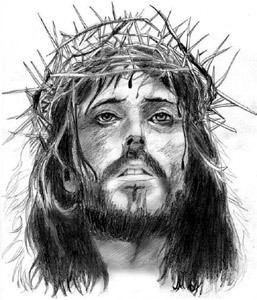 Brush Arbor Manna: The Resume Of Jesus The Christ!